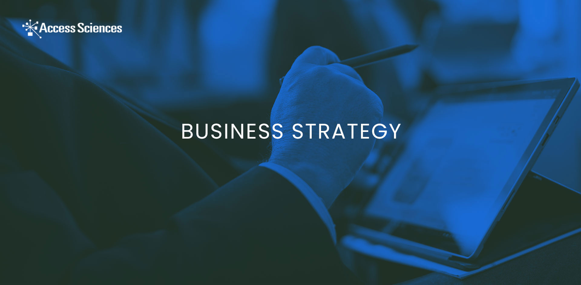 Business Strategy - Strategic Planning & Advisory Services